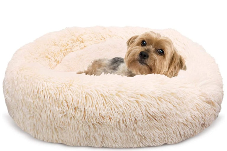 Hundebett orthopädisch rund | Die schönsten runden Hundebetten
